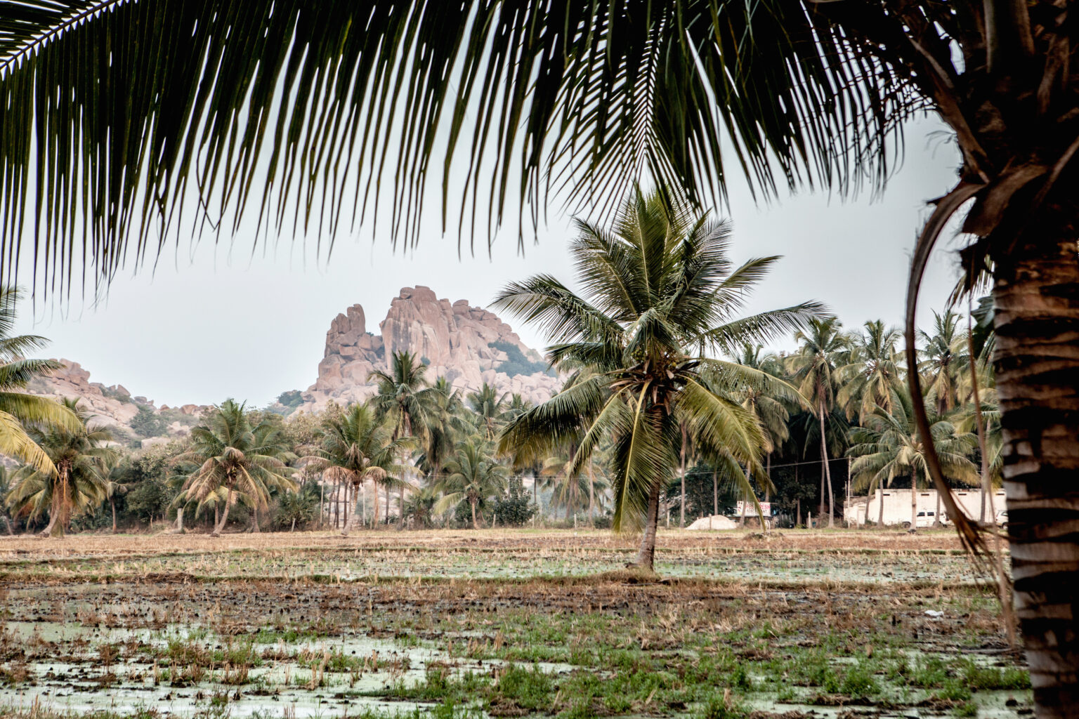 Enabling Equinix’s Global Infrastructure Expansion | APTelecom